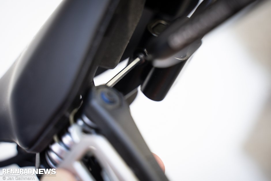 Topeak Backloader X plus Wishbone im Test - Rennrad-News